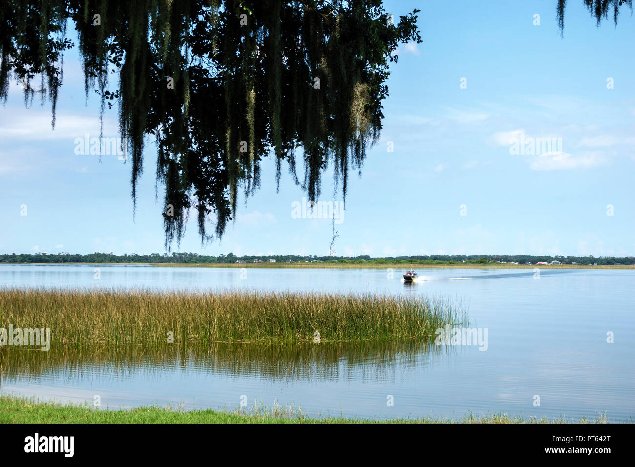 Florida,Lake Hamilton,Sample Park,water sawgrass boat,airboat,Spanish ...