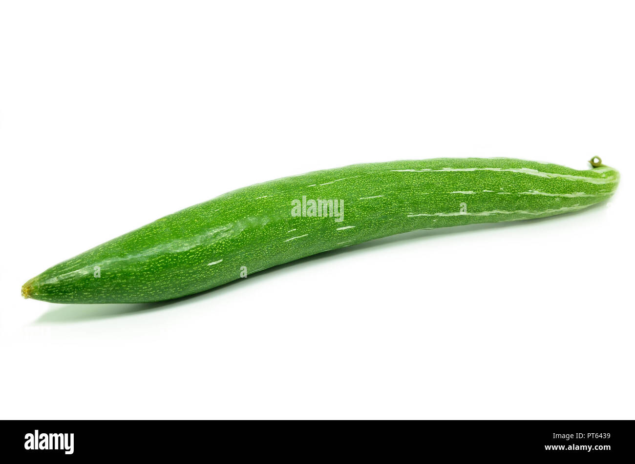Snake gourd isolated on a white background Stock Photo - Alamy