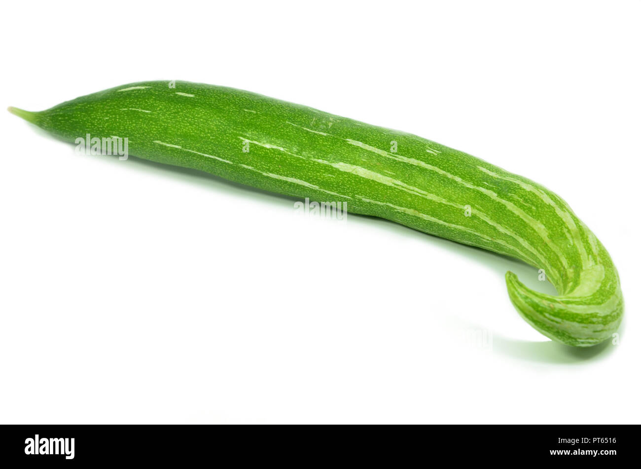 Snake gourd isolated on a white background Stock Photo - Alamy