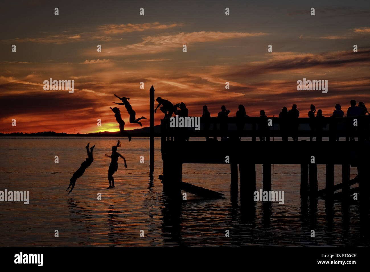 Youth swimming and jumping from the pier at sunset, summer evening ...