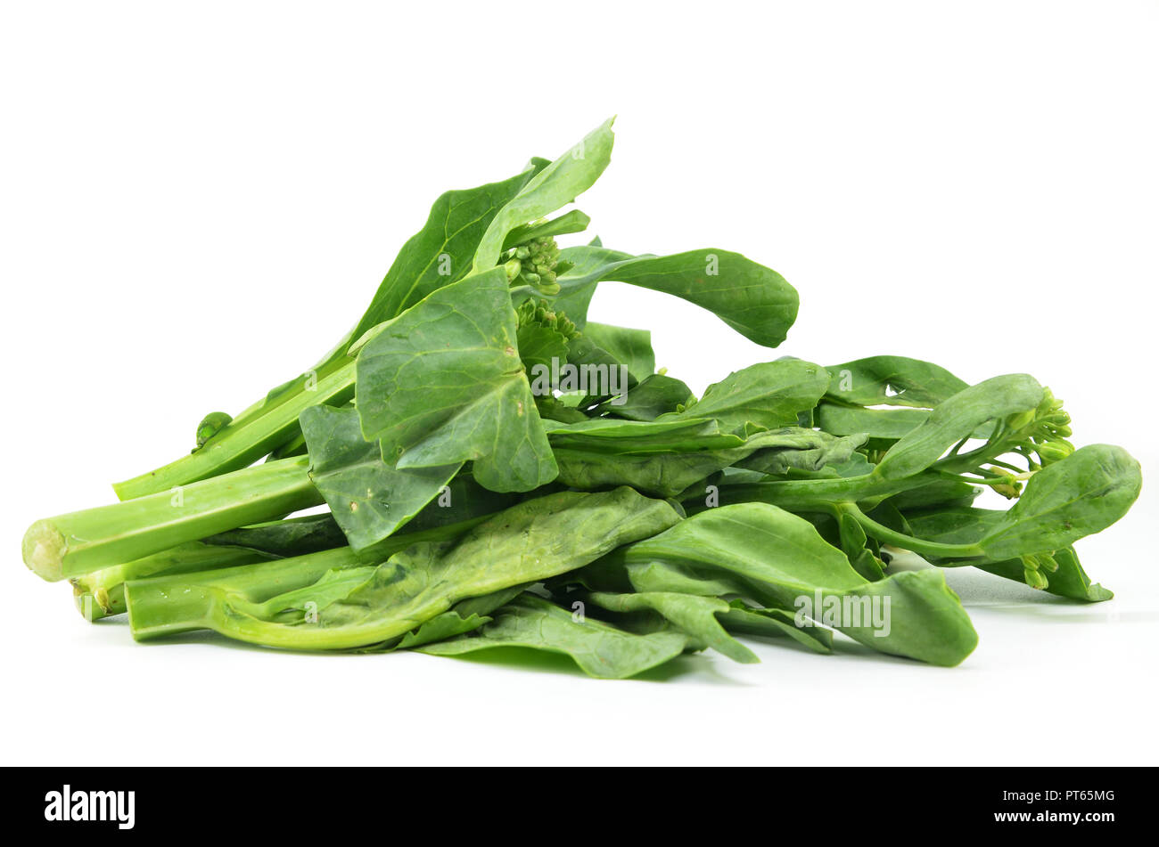 Kai lan hi-res stock photography and images - Alamy