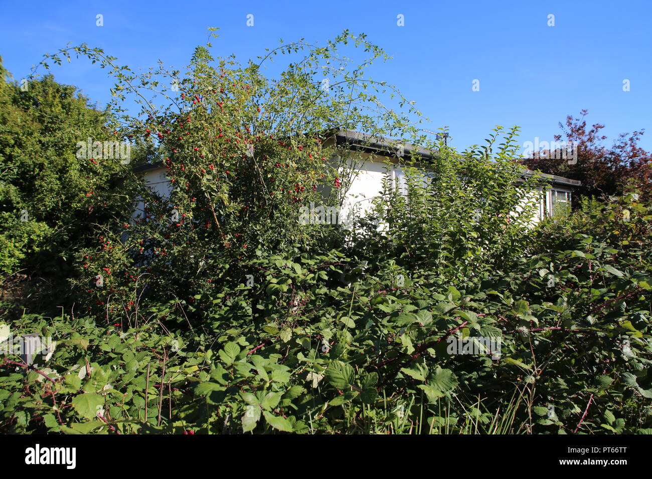 Prefabs on the Excalibur Estate, Catford, Lewisham, London Stock Photo ...