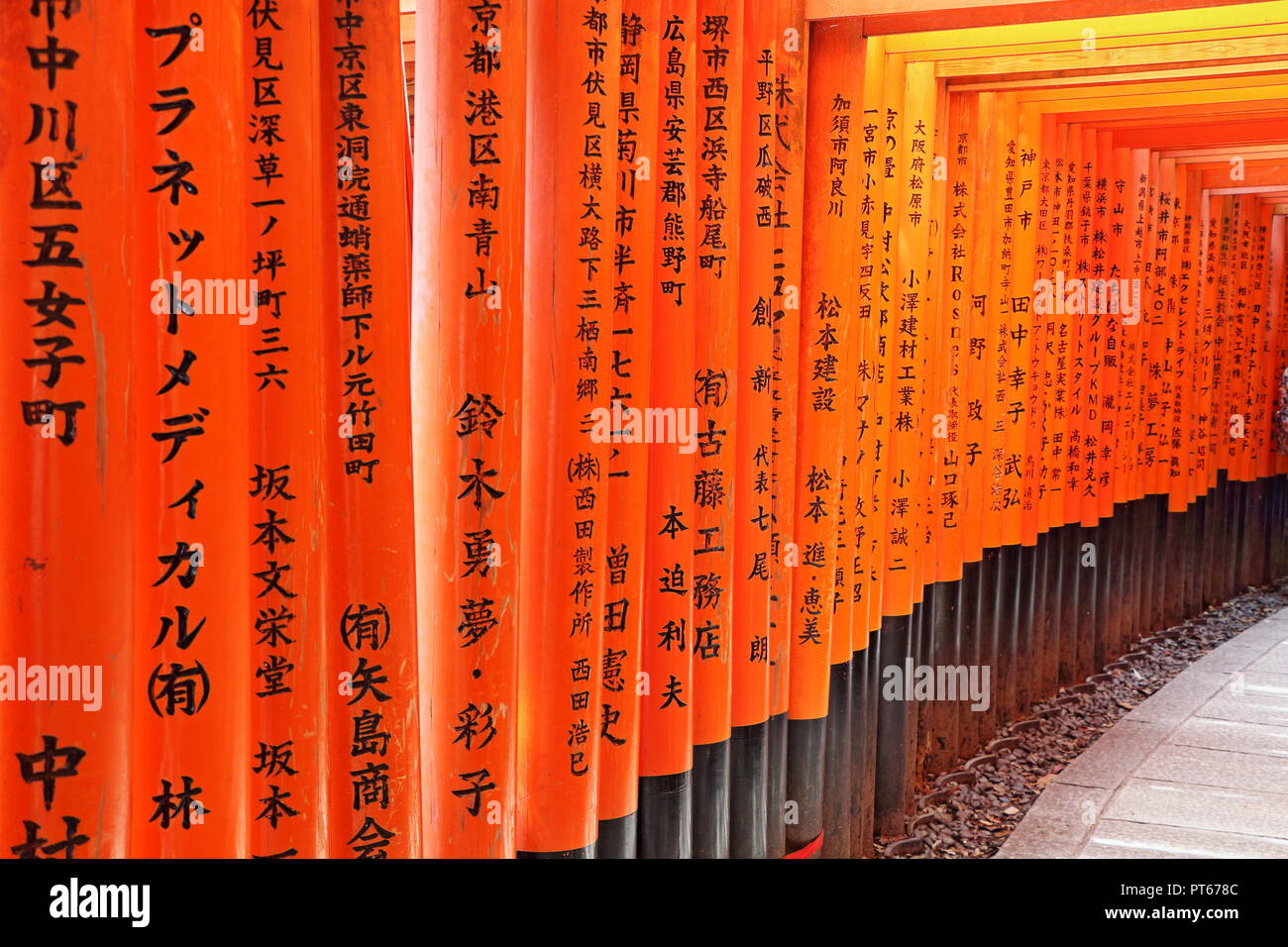 Torii Gate Walkway, Fushimi Inari Shrine, Kyoto, Japan Stock Photo - Alamy