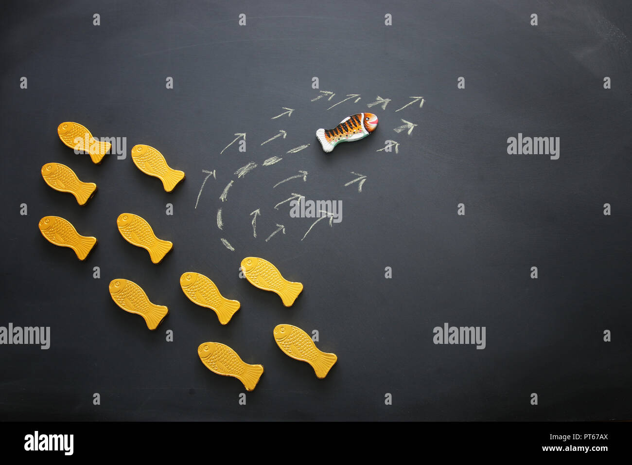 different fish swimming opposite way of identical ones. Courage and ...