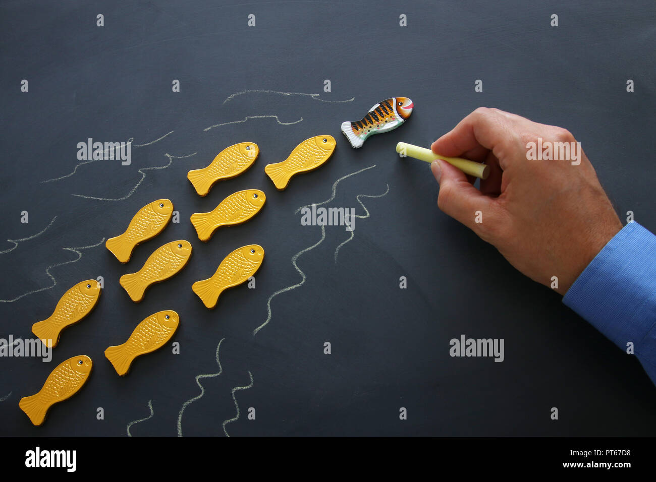 Leadership concept with swimming fish over blackboard background. One ...