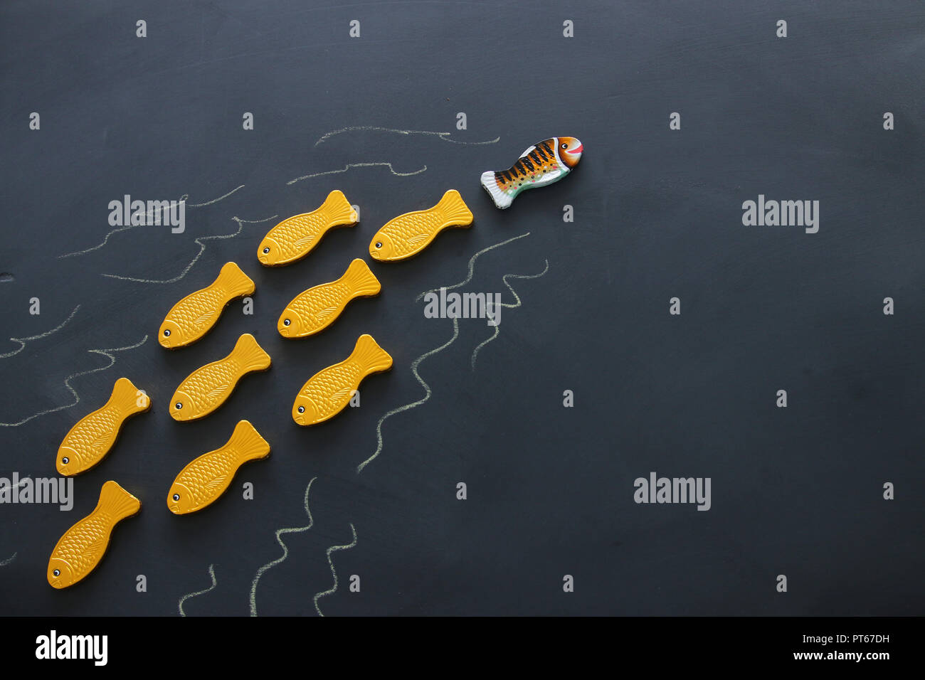 different fish swimming opposite way of identical ones. Courage and ...