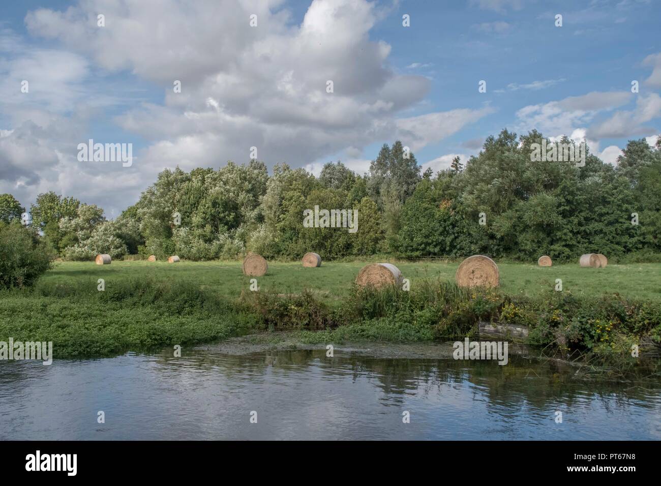 English chalk stream Stock Photo - Alamy