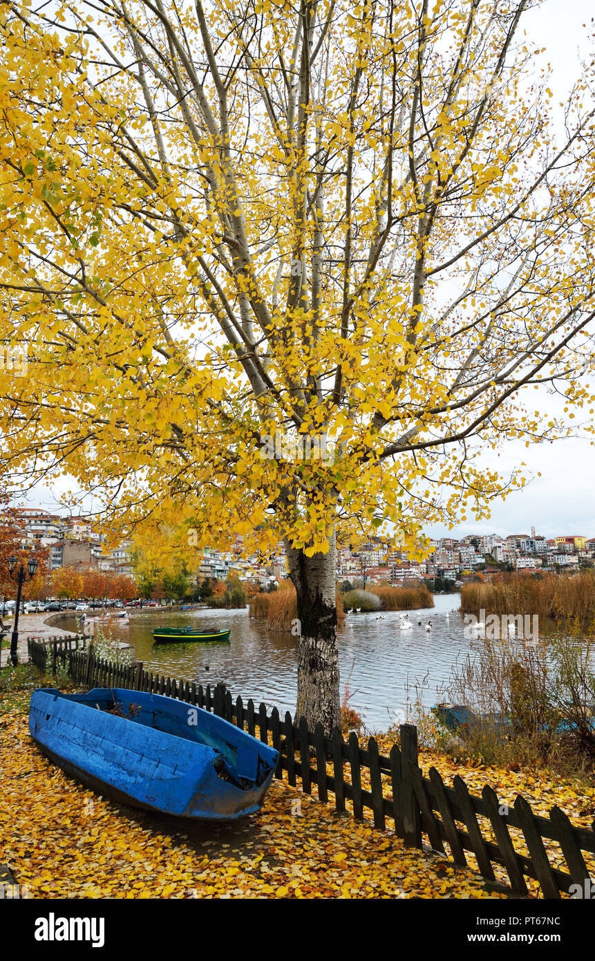 Autumn scene with yellow fall leaves tree a blue wooden boat and as ...