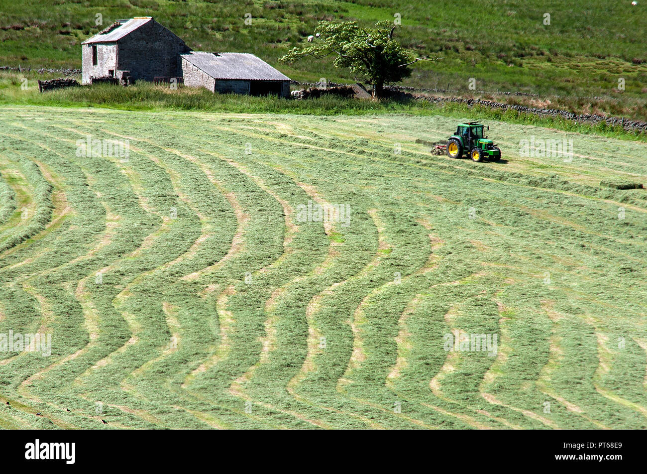 Cutting hay europe hi-res stock photography and images - Alamy