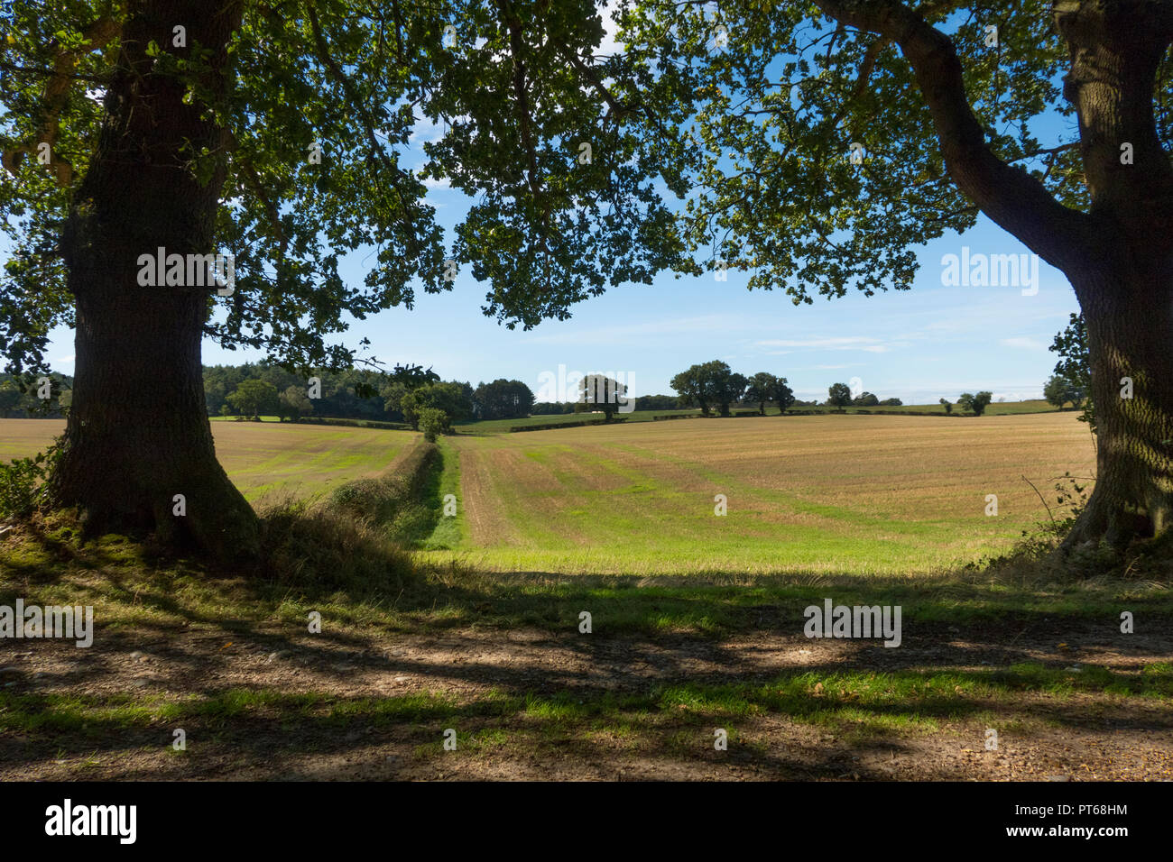 Farmland near plumstead Norfolk Stock Photo - Alamy