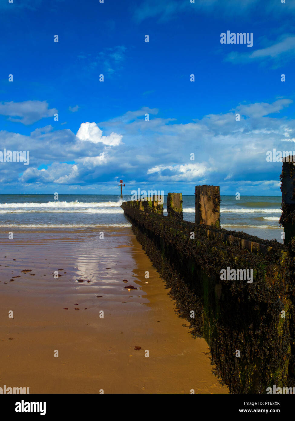 Groyns on Sheringham beach Norfolk UK Stock Photo - Alamy