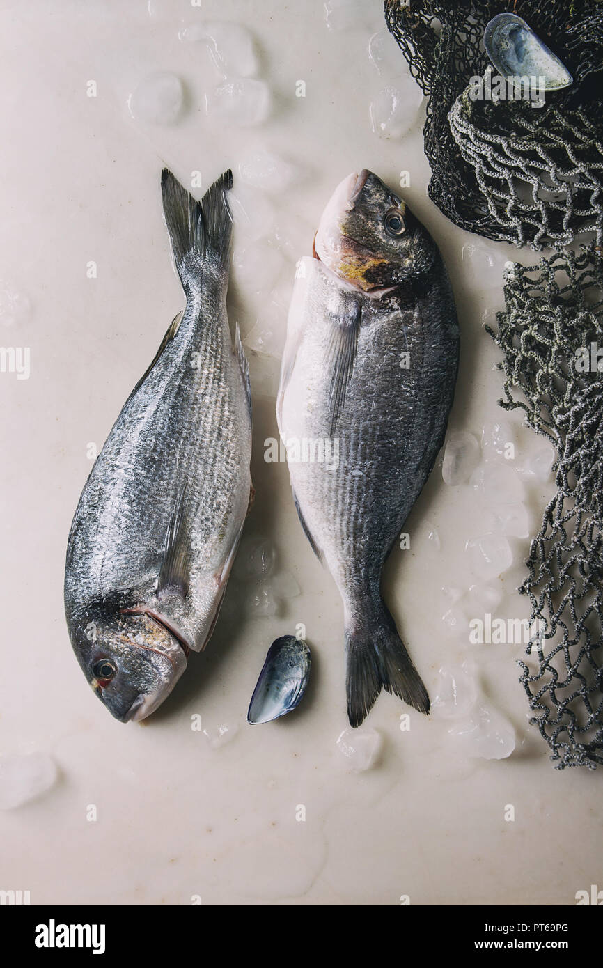 Raw sea bream fish Stock Photo - Alamy
