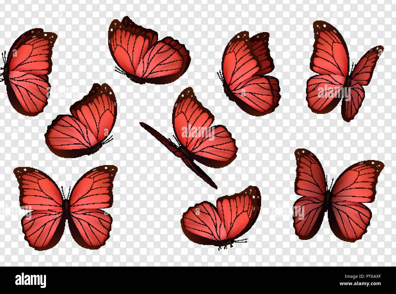 Red isolated butterflies. Insects with bright coloring. Butterfly ...