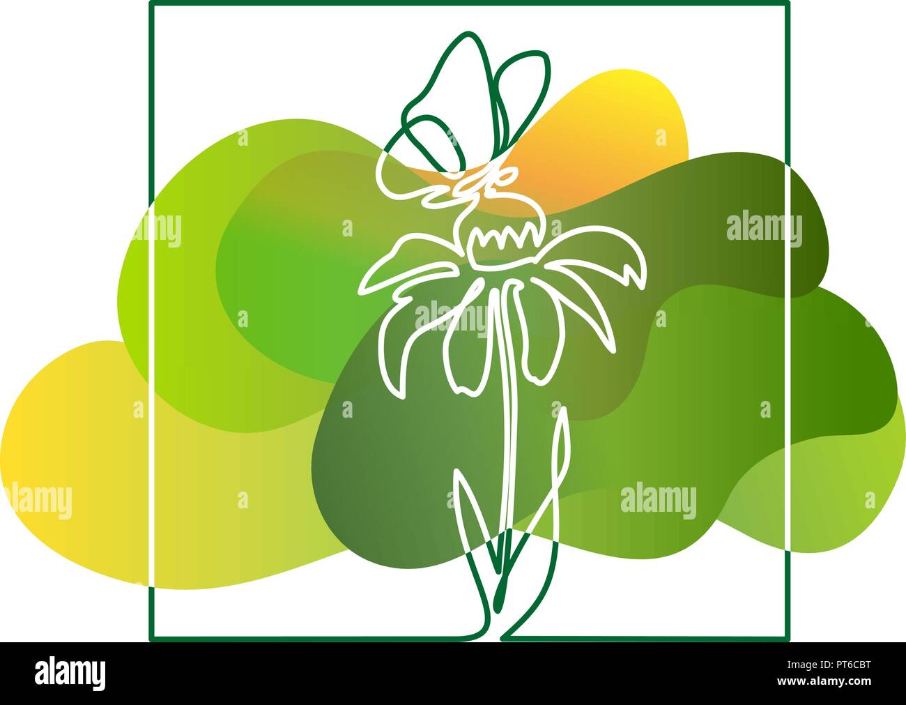 Continuous one line color drawing. Beautiful flower Echinacea with ...