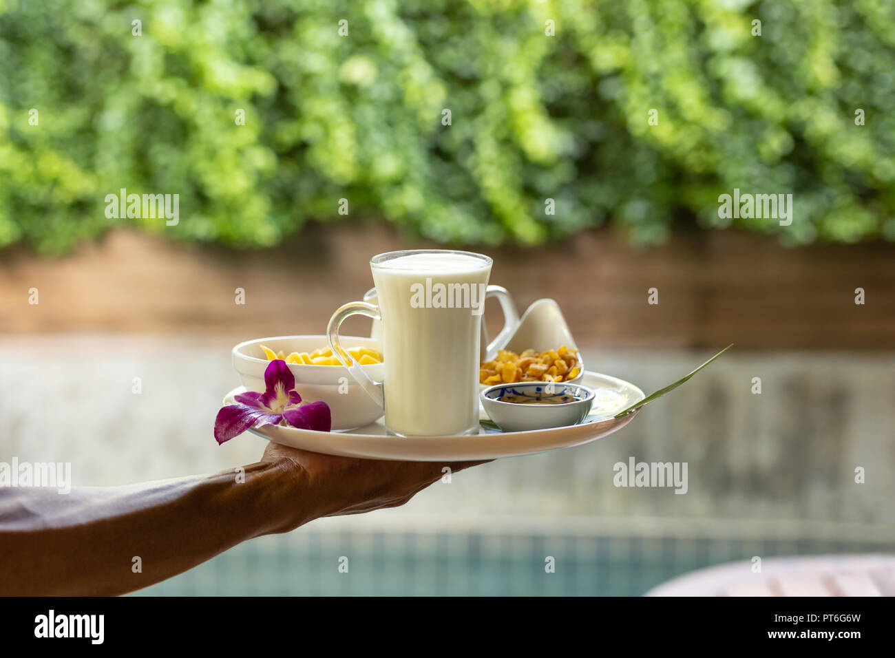 Waiter serving healthy breakfast set in hotel room Stock Photo - Alamy