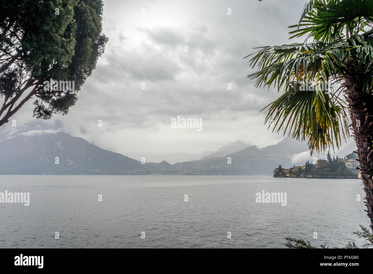 Europe, Italy, Varenna, Lake Como, a tree next to a body of water ...