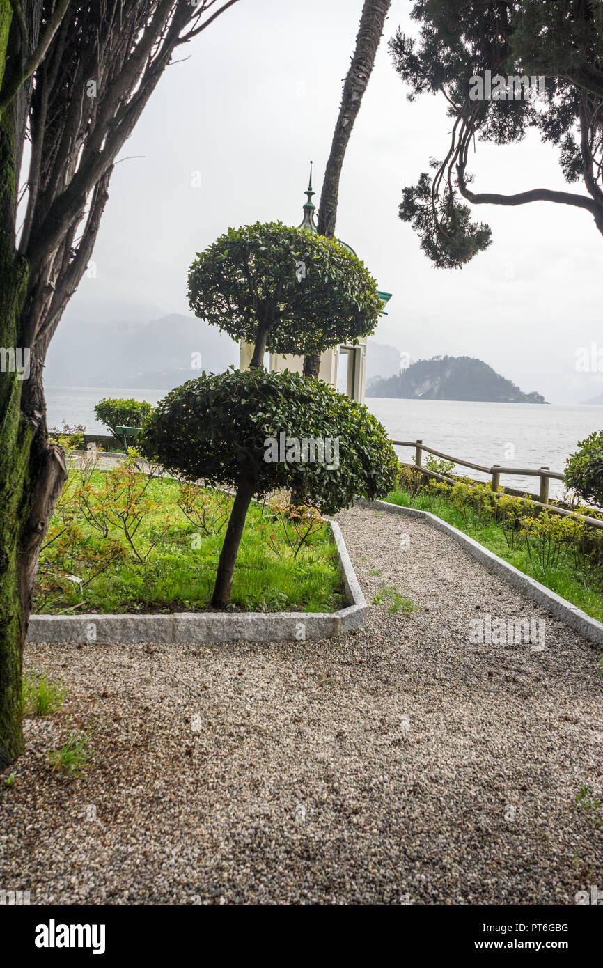 Europe, Italy, Varenna, Lake Como, a tree next to a body of water Stock ...