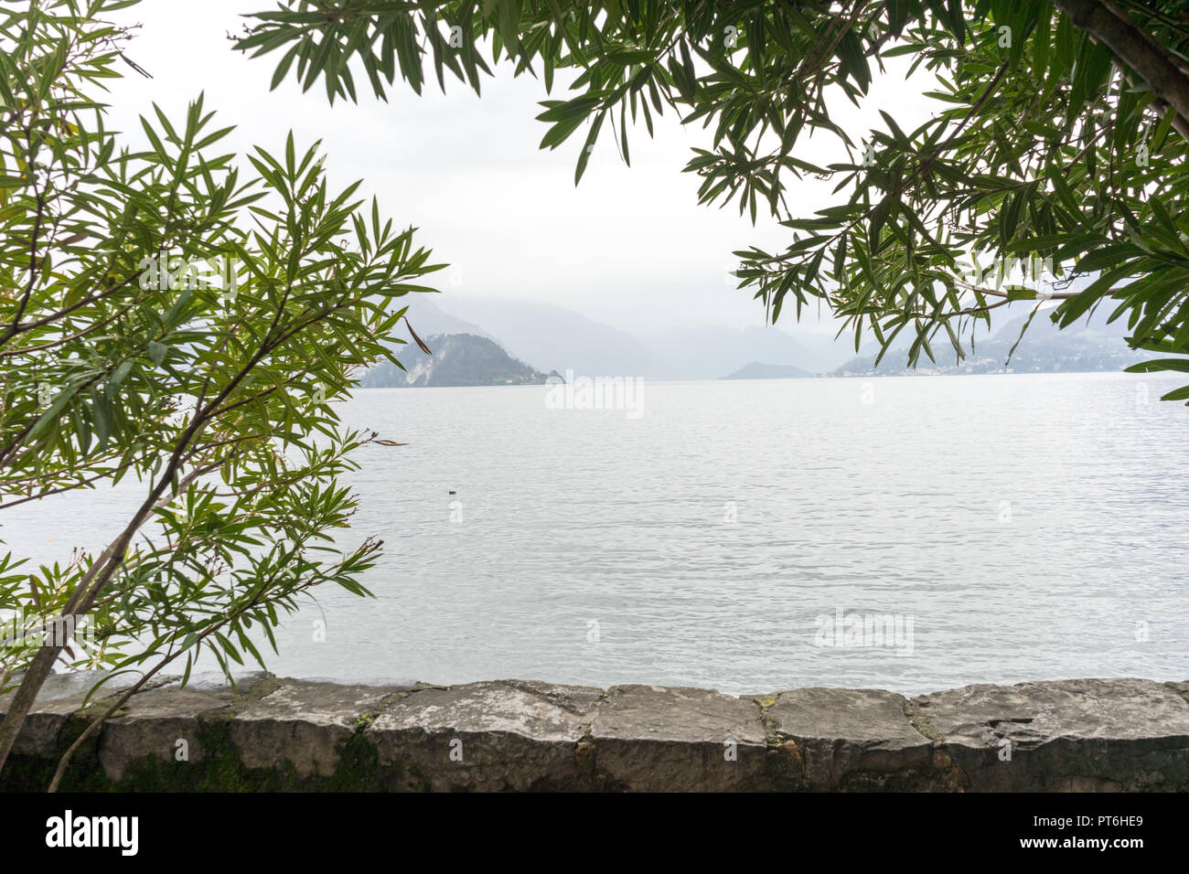 Europe, Italy, Varenna, Lake Como, a tree next to a body of water Stock ...