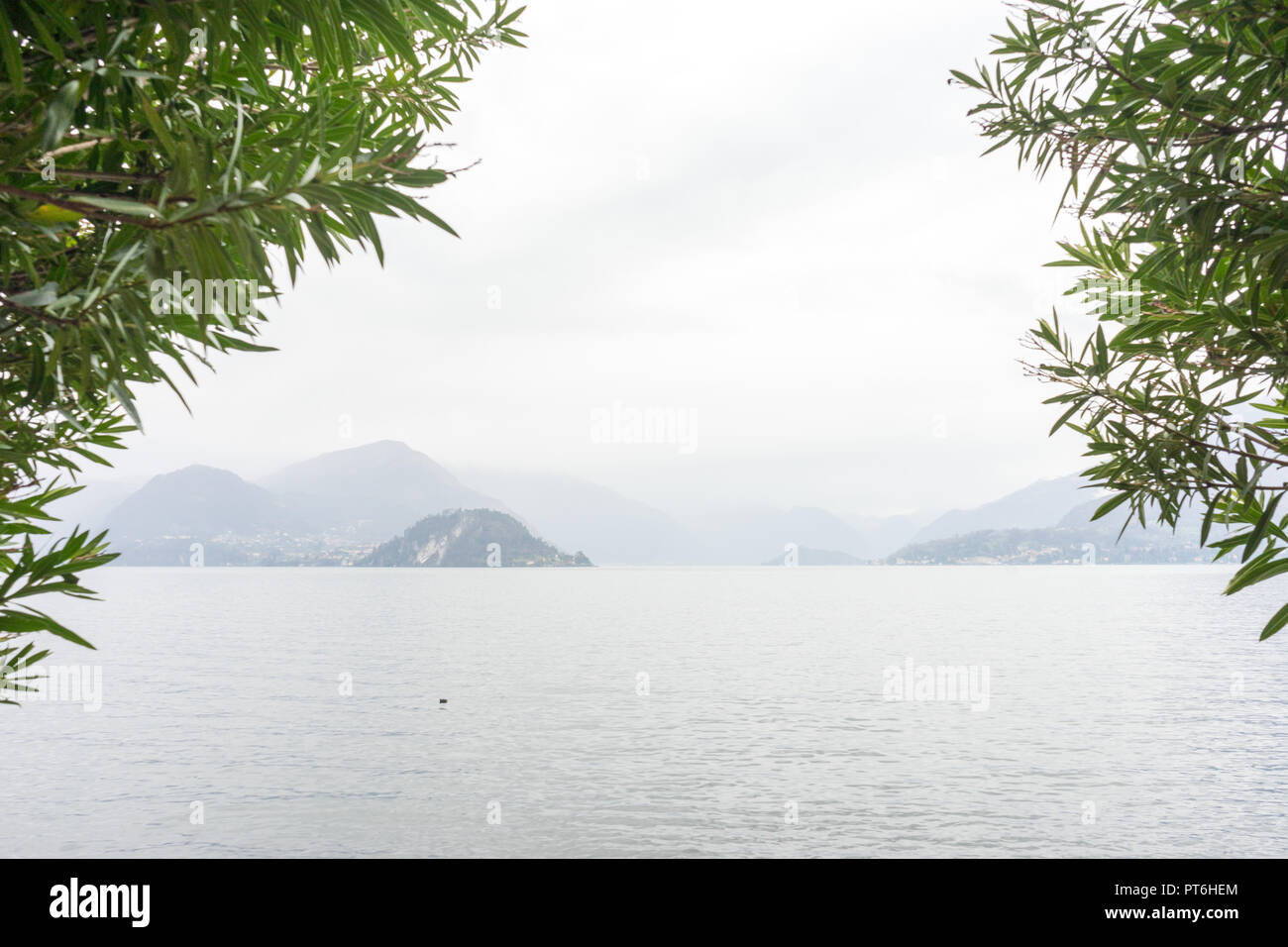 Europe, Italy, Varenna, Lake Como, a tree next to a body of water Stock ...