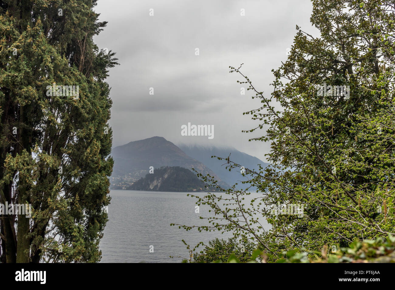 Europe, Italy, Varenna, Lake Como, a tree next to a lake Stock Photo ...