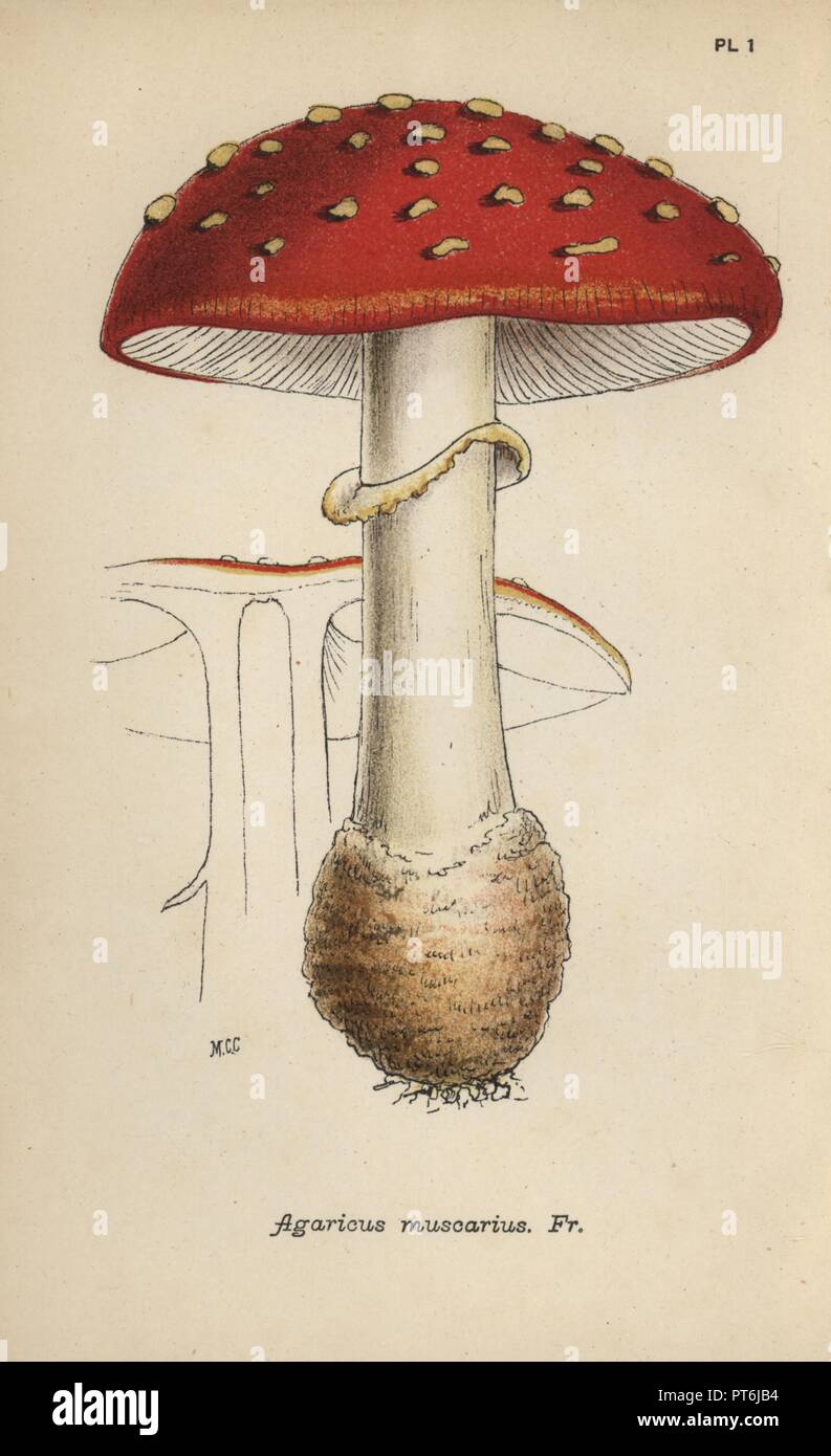 Cooke mordecai cubitt hi-res stock photography and images - Alamy