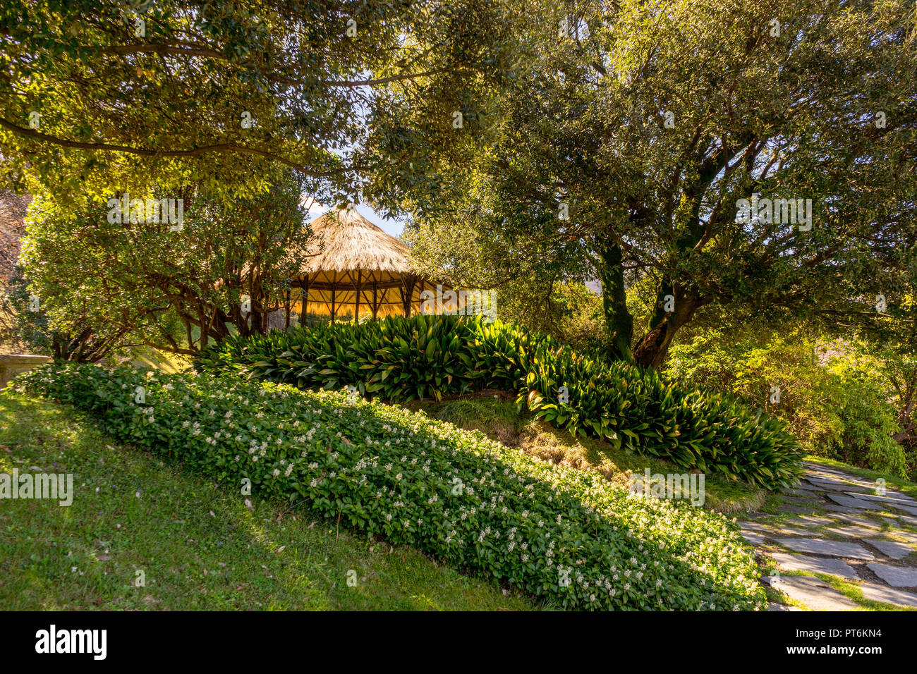 Europe, Italy, Bellagio, Lake Como, TREES IN GARDEN Stock Photo - Alamy