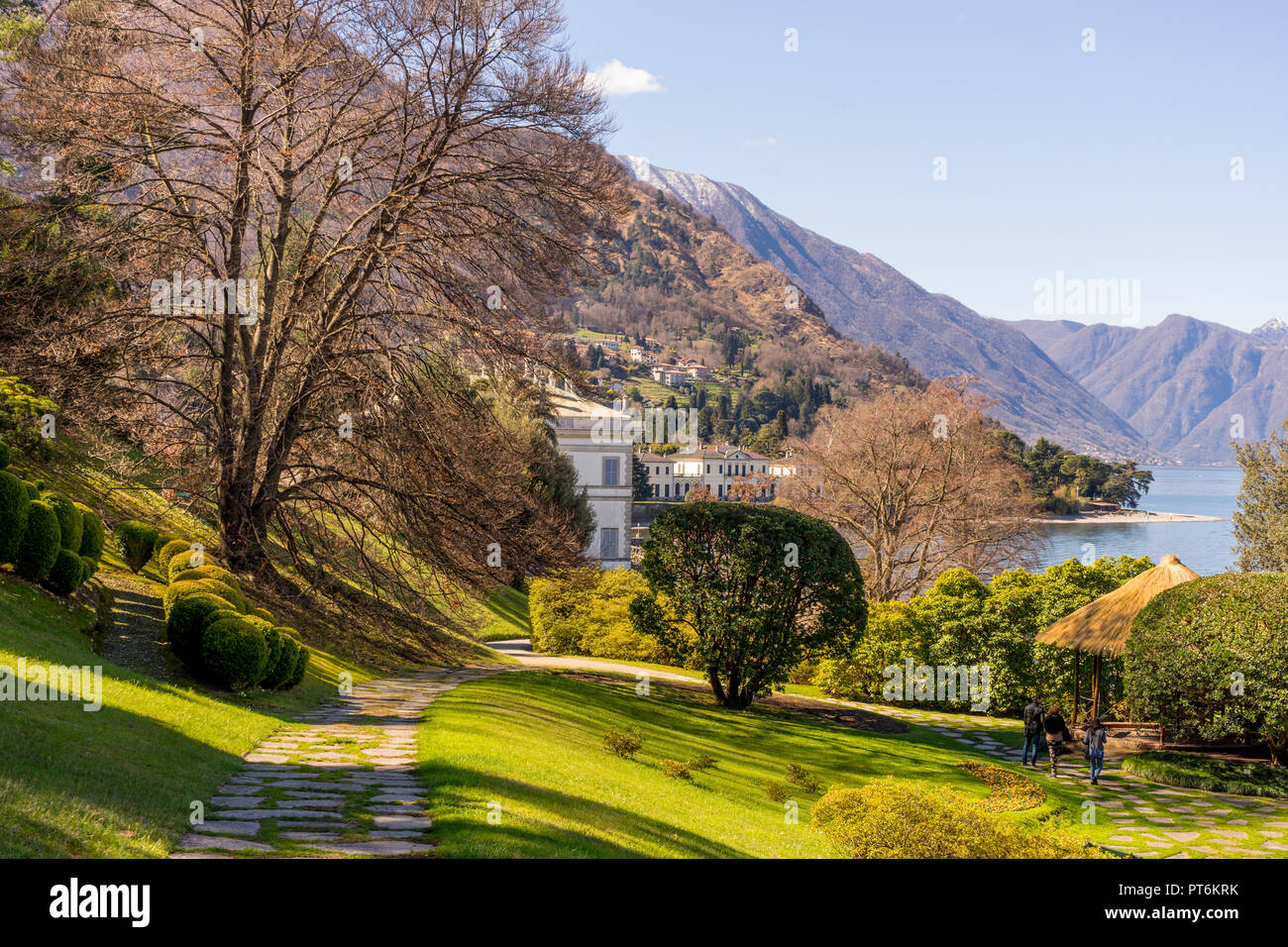 Europe, Italy, Bellagio, Lake Como, SCENIC VIEW OF TREES AND BUILDINGS ...