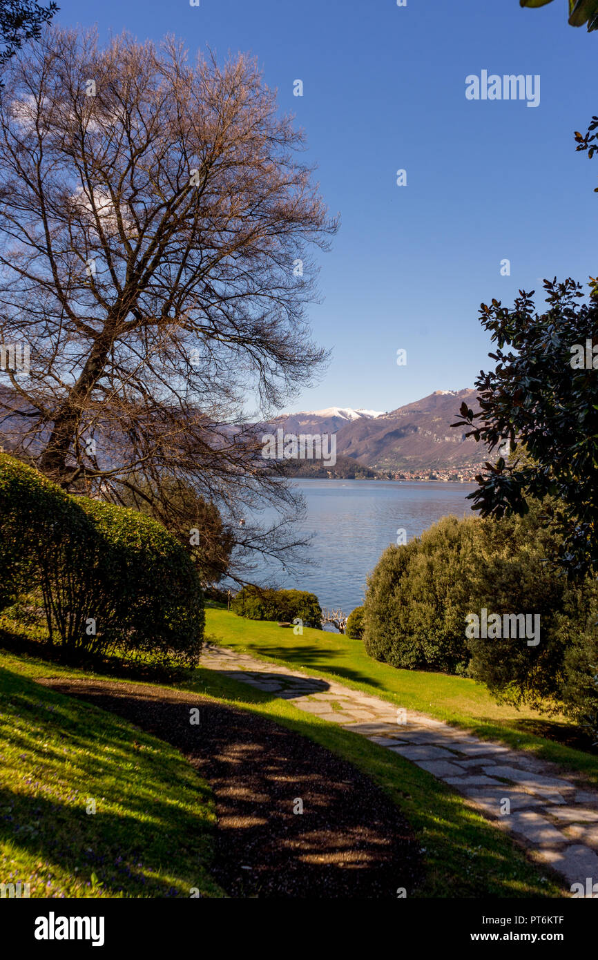 Europe, Italy, Bellagio, Lake Como, a tree in front of a body of water ...