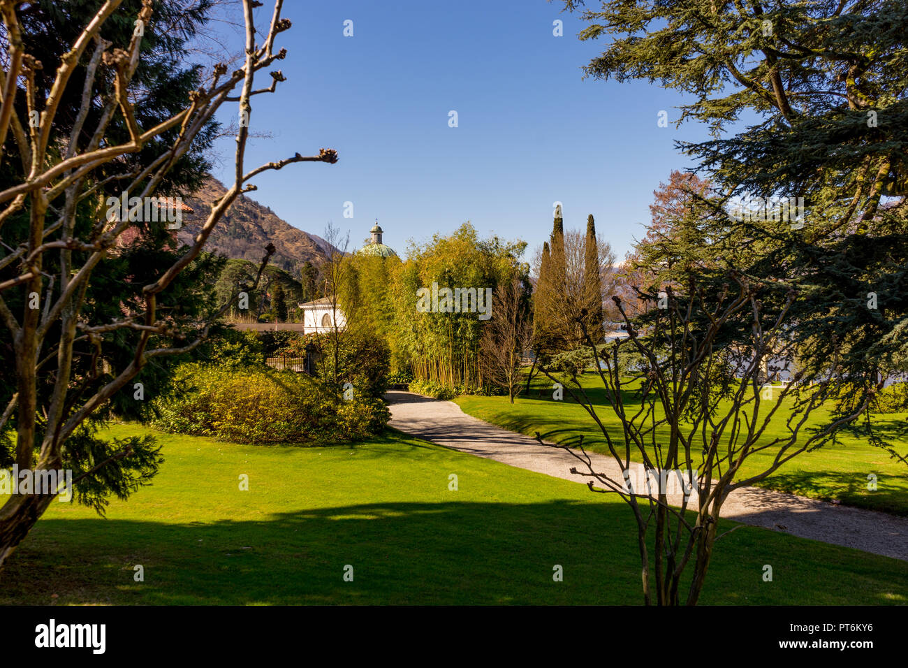 Europe, Italy, Bellagio, Lake Como, a tree in a grassy area Stock Photo ...