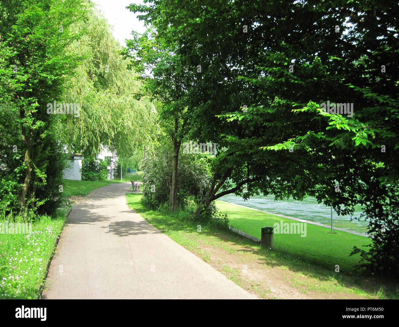 PATHWAY ALONG THE BANKS OF THE RHINE RIVER, SWITZERLAND Stock Photo - Alamy