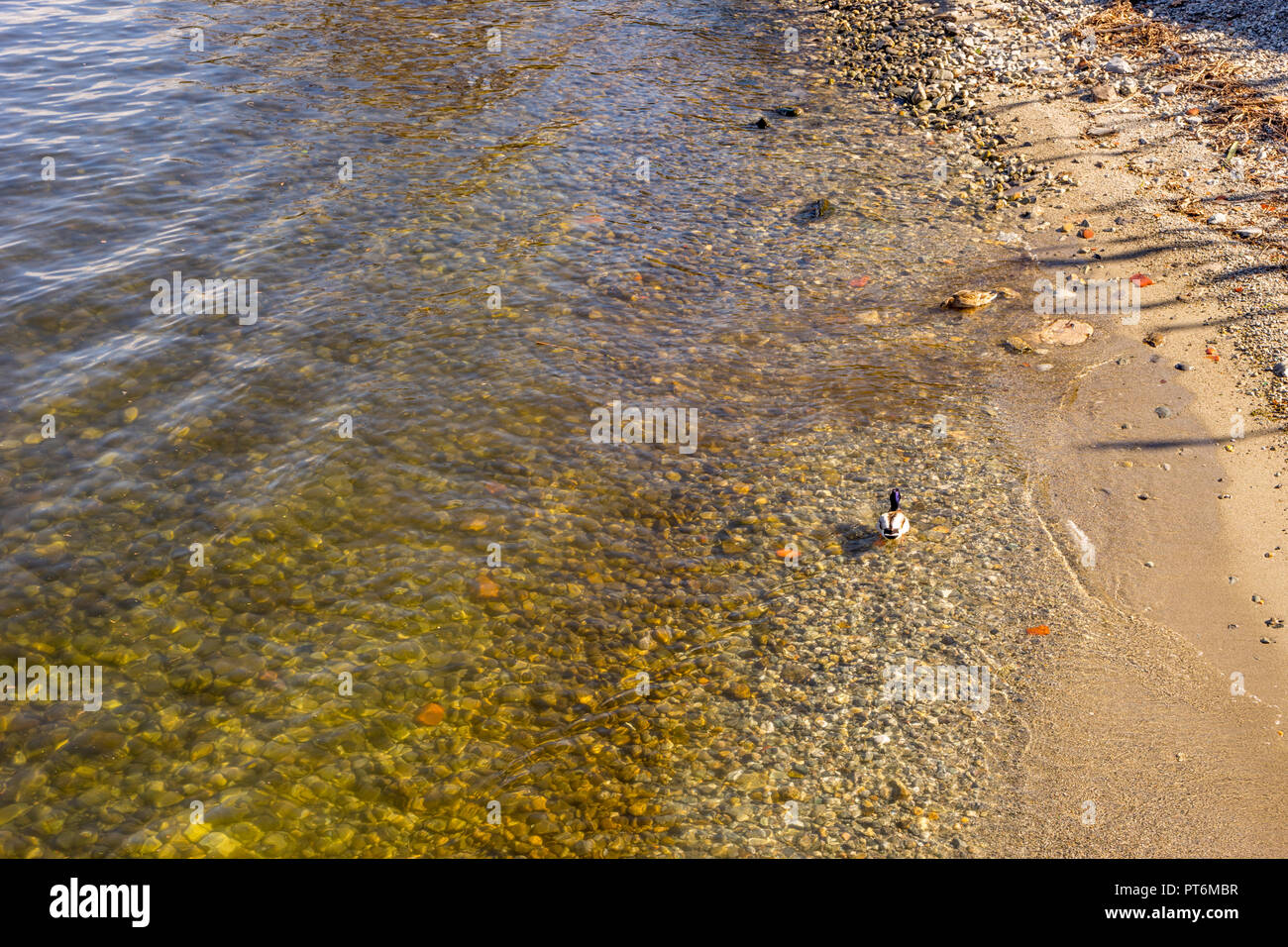 Europe, Italy, Bellagio, Lake Como, a body of water Stock Photo - Alamy