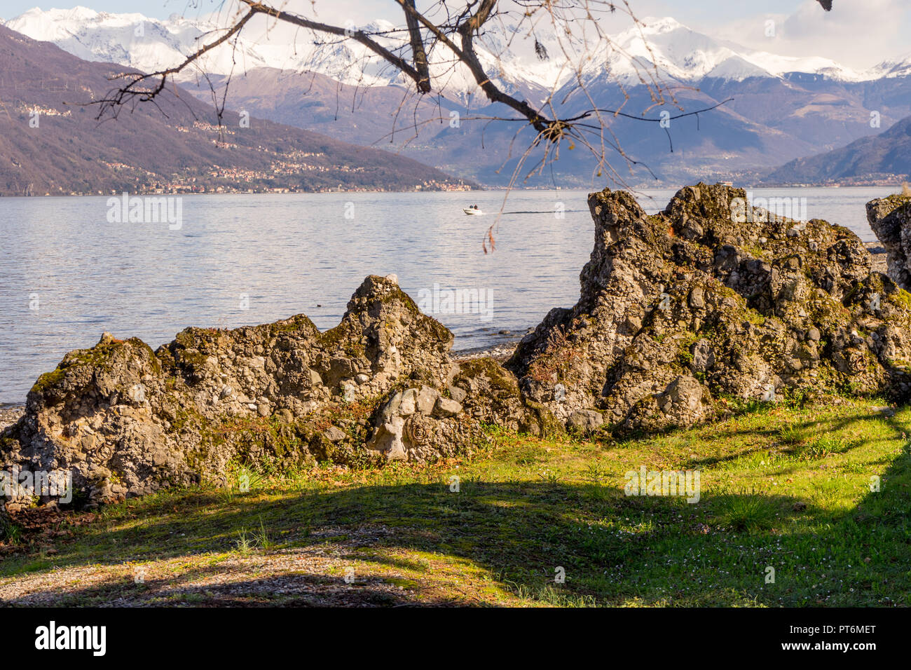 Europe, Italy, Bellagio, Lake Como, a tree with a mountain in the ...