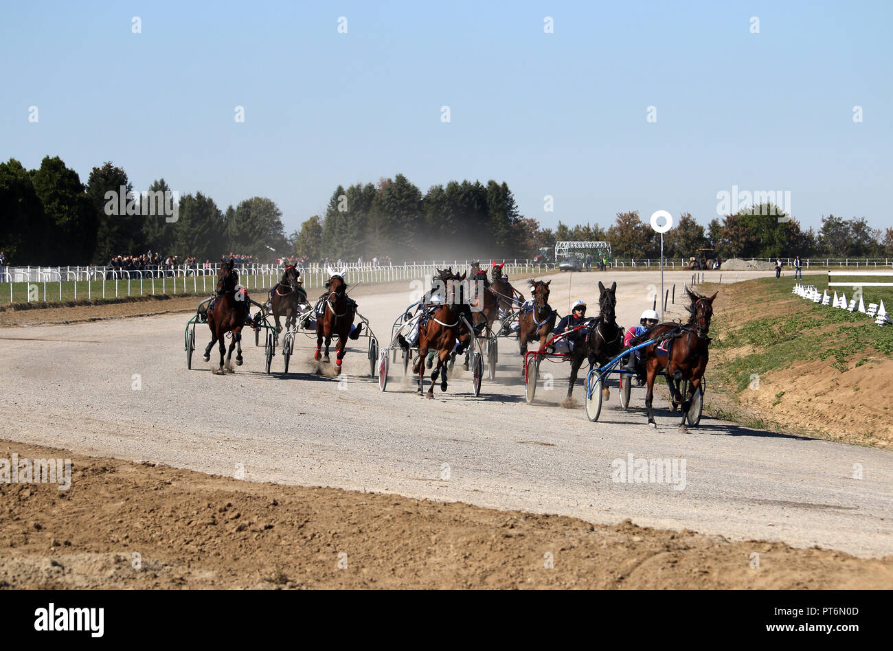 Harness racing at the Hippodrome horses trotting Stock Photo - Alamy