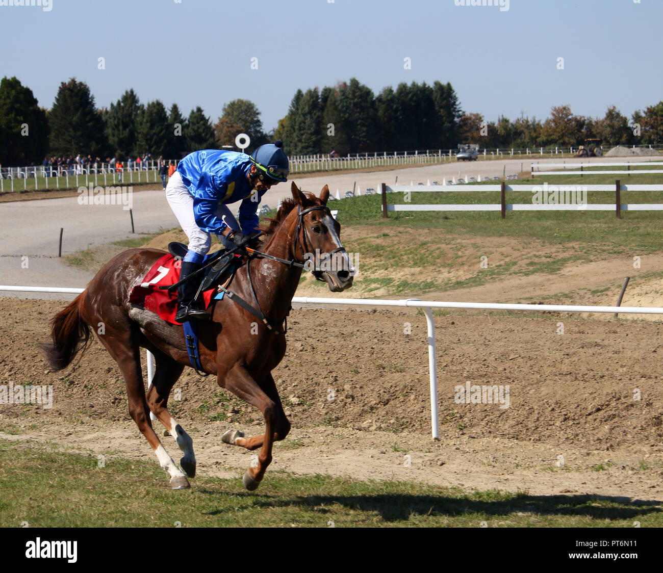 Hippodrome race track hi-res stock photography and images - Alamy