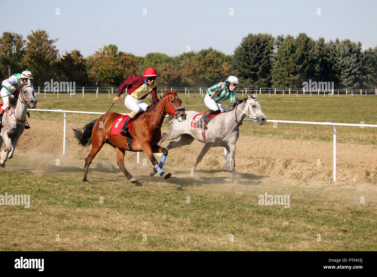Gallop to win hi-res stock photography and images - Alamy