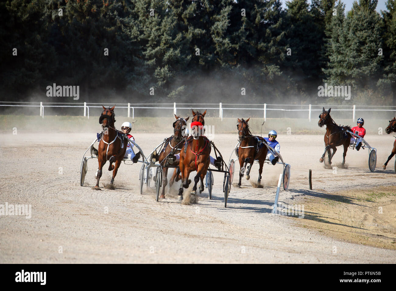Jockey trotting hi-res stock photography and images - Alamy