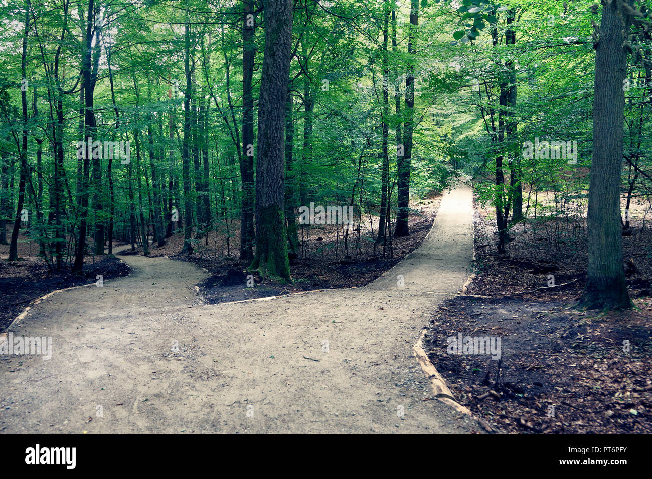 Path view hi-res stock photography and images - Alamy