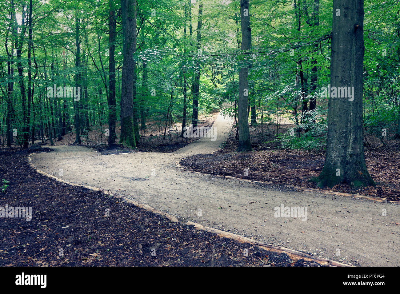 Path view hi-res stock photography and images - Alamy