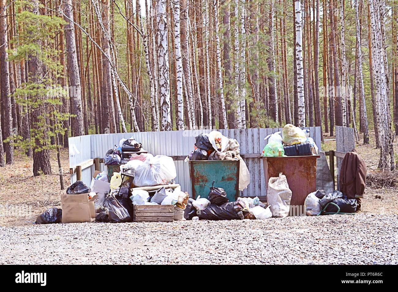 Litter box full of garbage in forest. Concept of ecology problem. Toned ...
