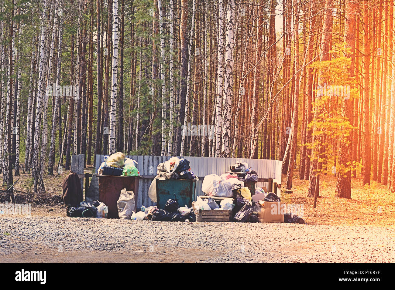 Litter box full of garbage in forest. Concept of ecology problem. Toned ...
