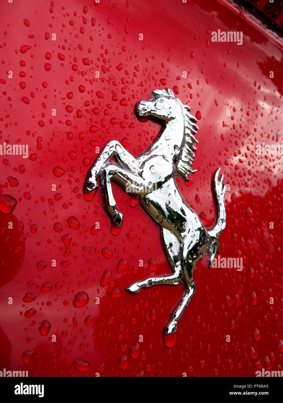 The iconic Chrome Prancing Horse on a Red Ferrari Stock Photo - Alamy