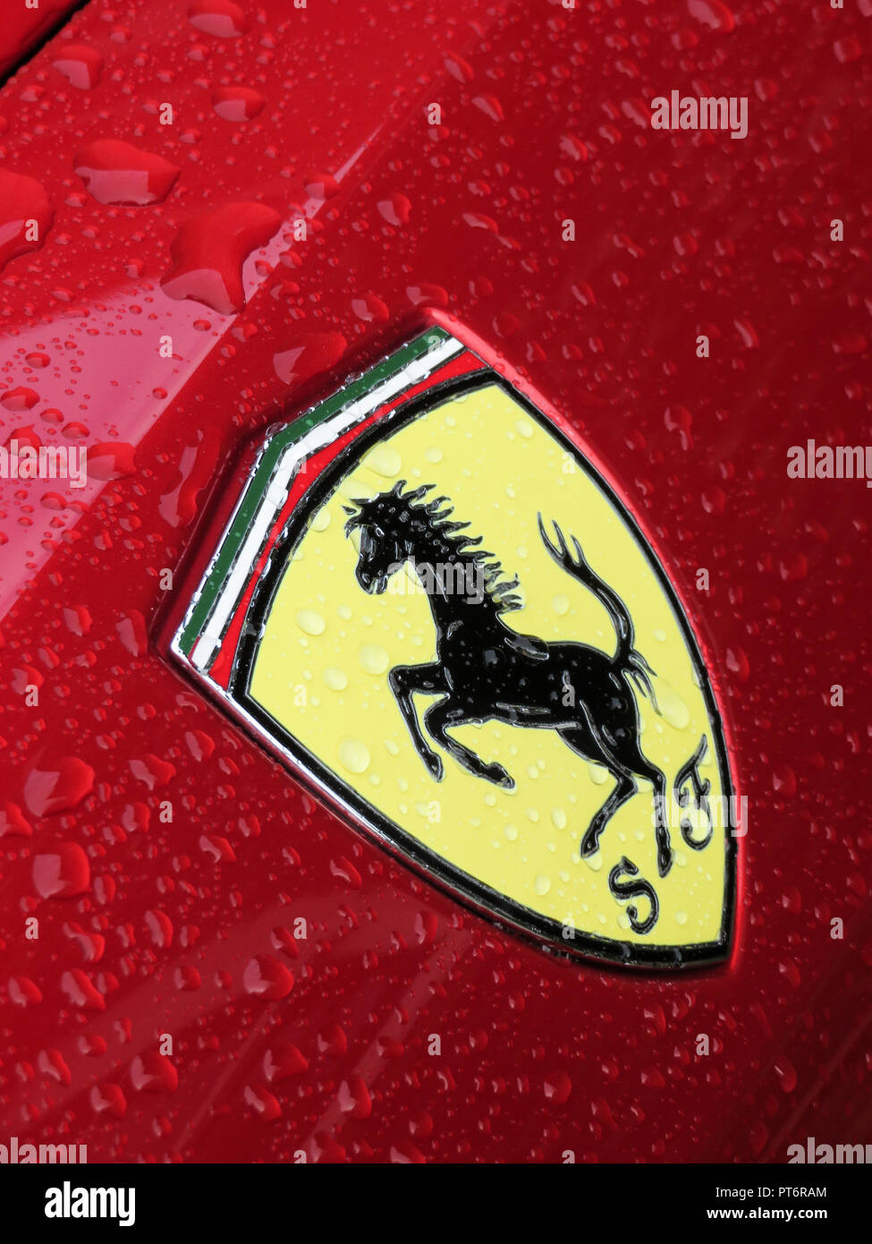 Ferrari Shield