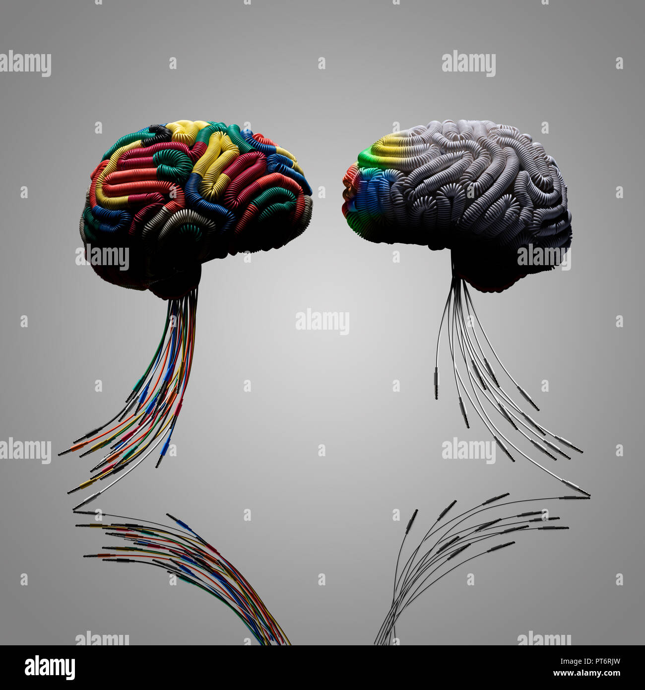 Concept 2 Two Brains making a connection by color wires, Stem made of ...
