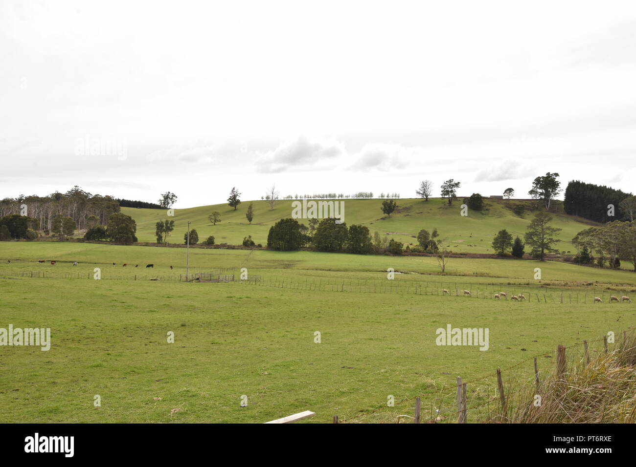 Tasmanian farming hi-res stock photography and images - Alamy