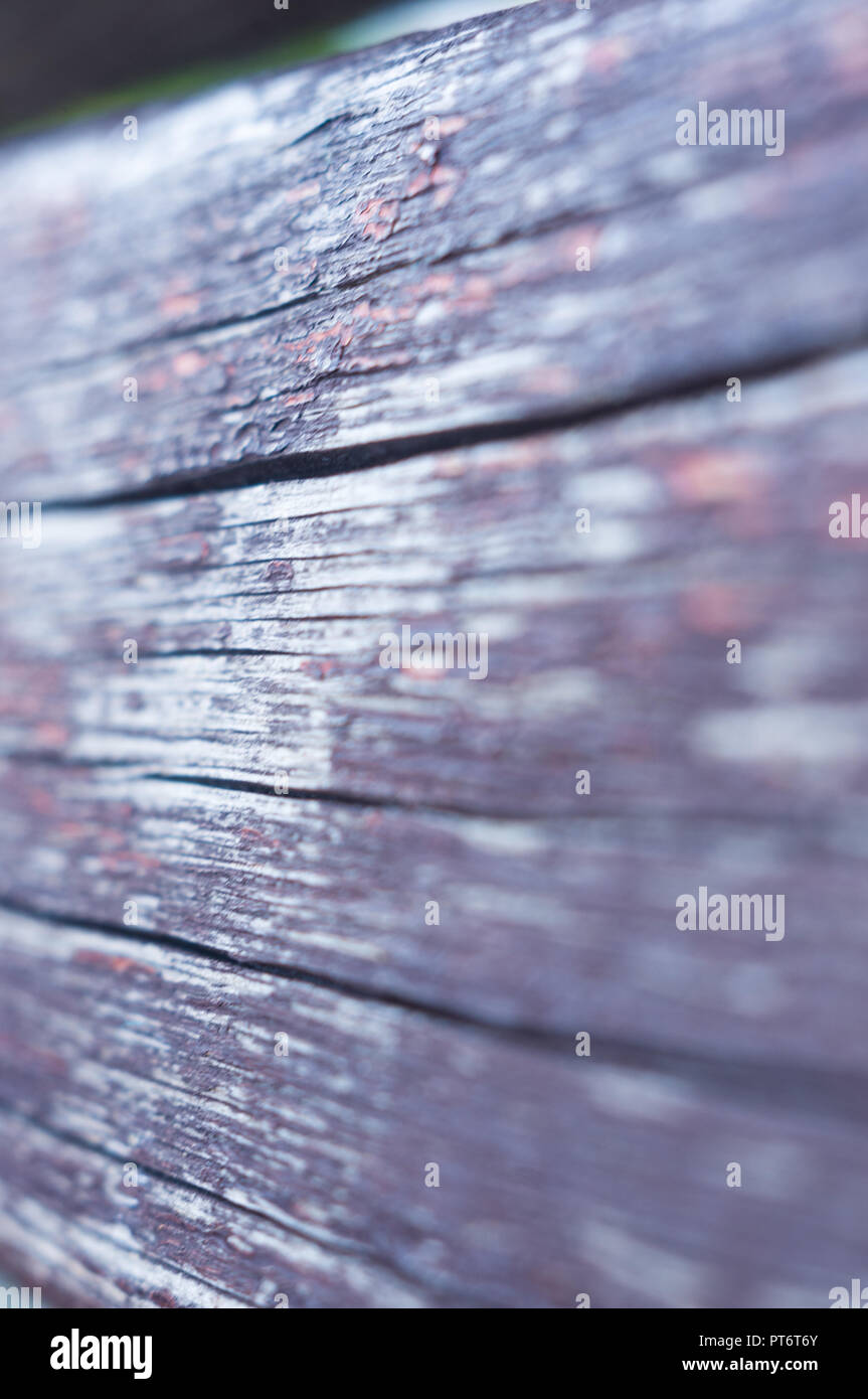 the texture of the painted shabby wooden benches made of boards, close ...