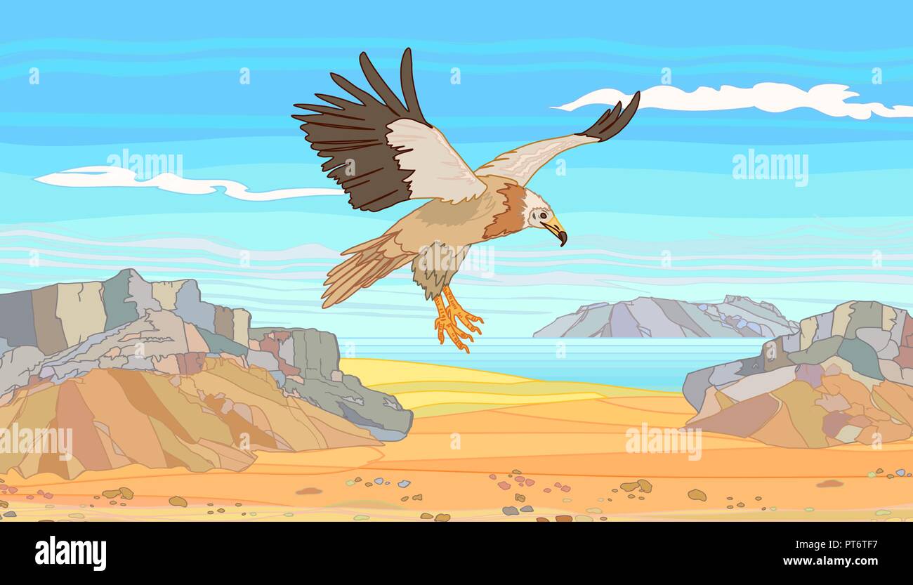 Soaring vulture, color stylized illustration in vector Stock Vector ...