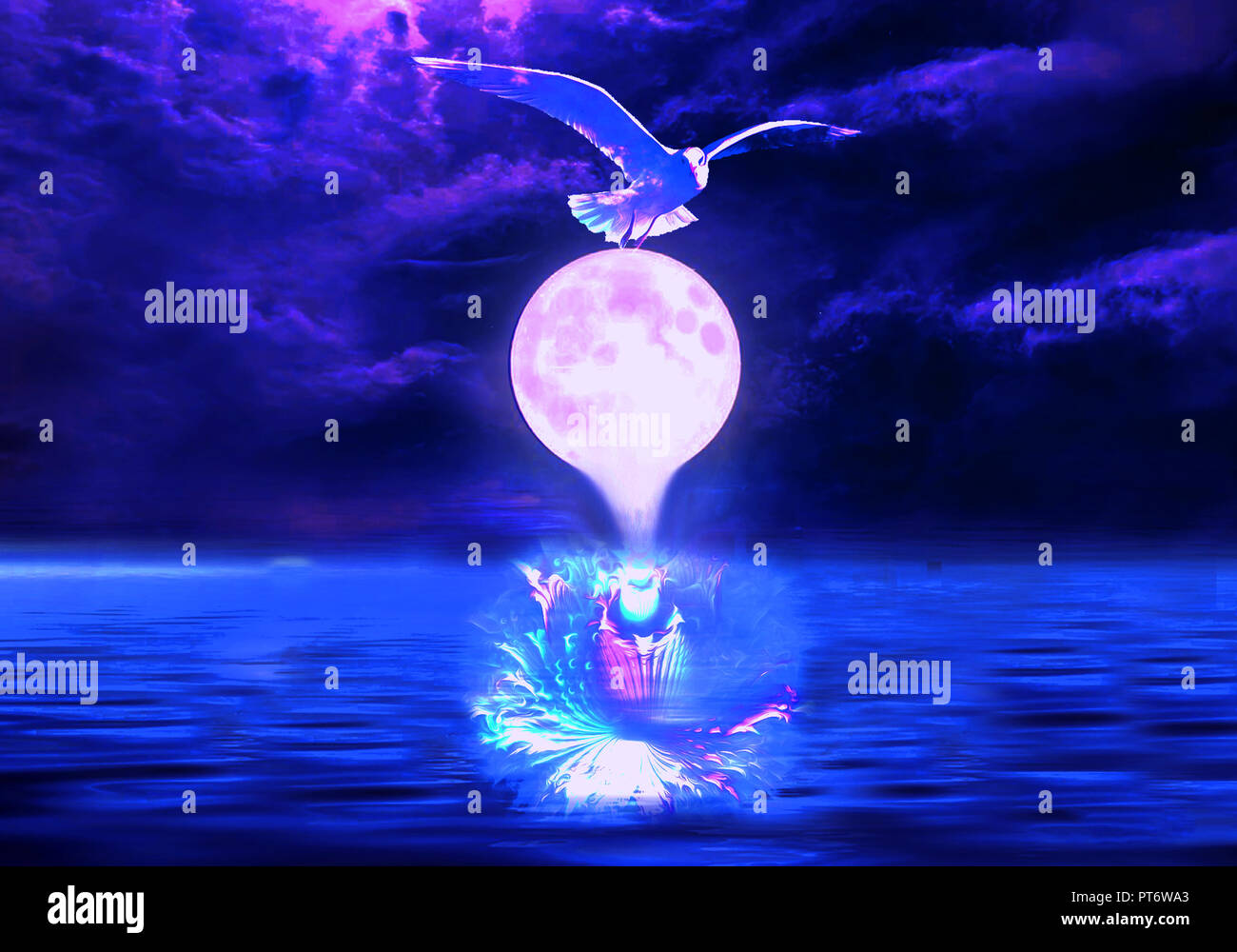 A white bird above the moon and waters, on a blue night Stock Photo - Alamy