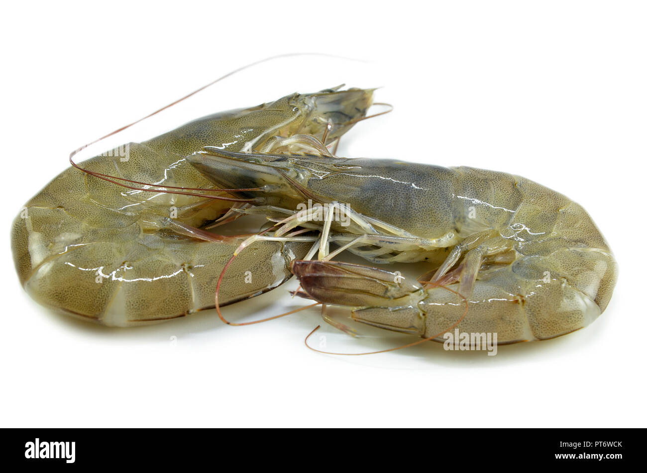 Raw fresh shrimp isolate on white background Stock Photo - Alamy
