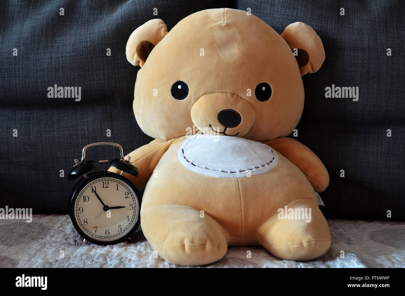 Brown cute teddy bear hold alarm clock Stock Photo - Alamy