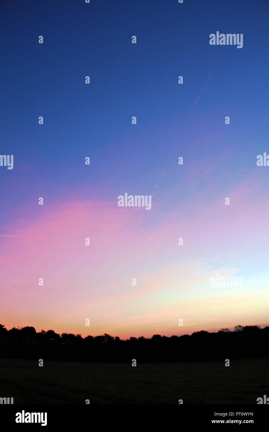 Beautiful Dawn Silhouetted tree in front of vivid morning sky Stock ...